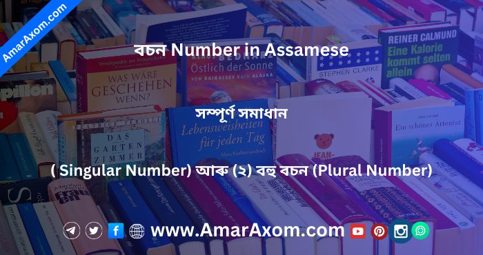 অসমীয়াত বচন Number in Assamese 2026
